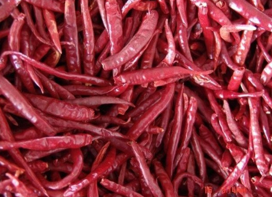 Red Chills Exporter - Supplier Exporter of Indian Basmati Rice I Tea I ...